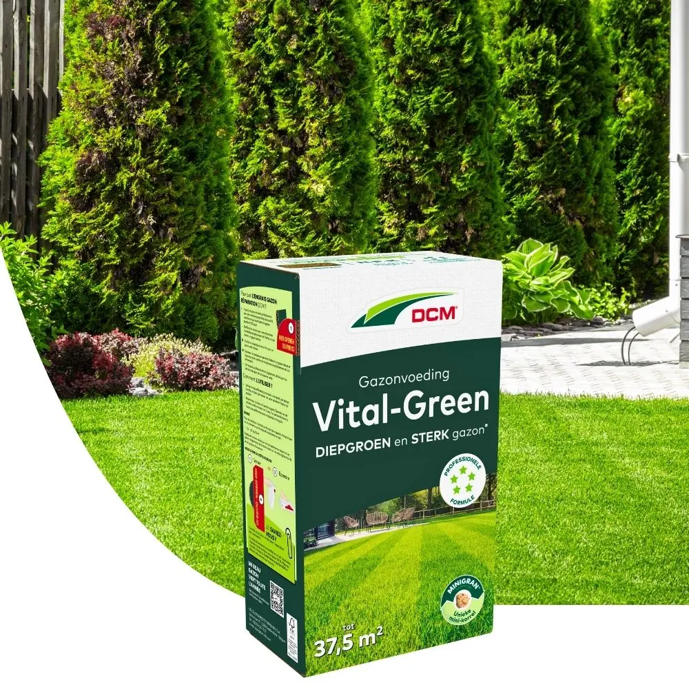 DCM Vital Green | Klaver Graszoden in Twisk